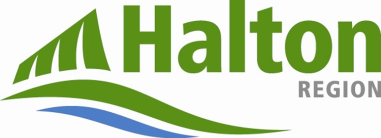 Halton Region Small Business Centre - Business Plan Template - TIB