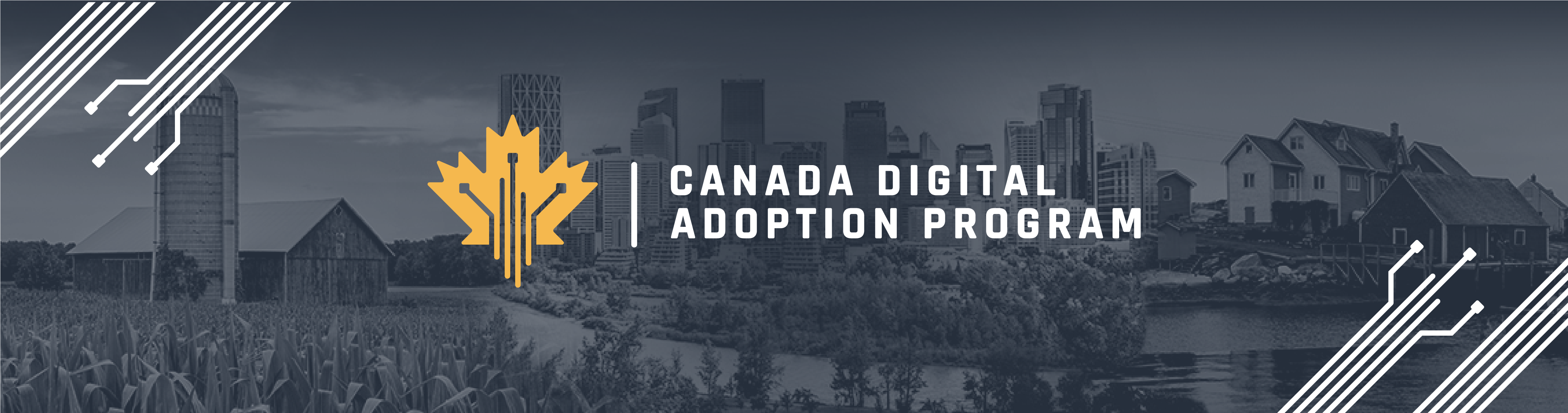 Canada Digital Adoption Program - CCIB